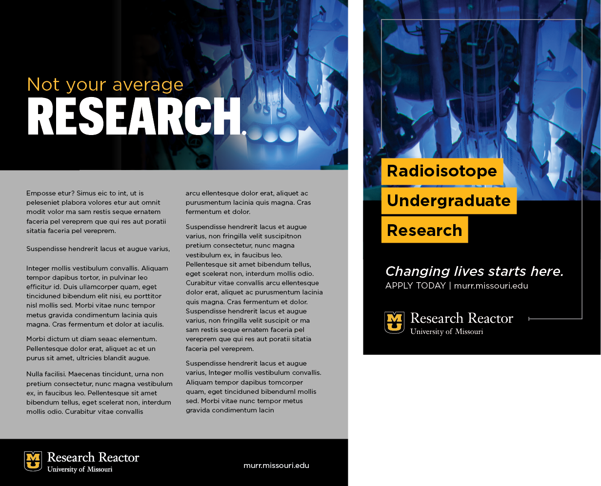Research Reactor - Brand Guidelines