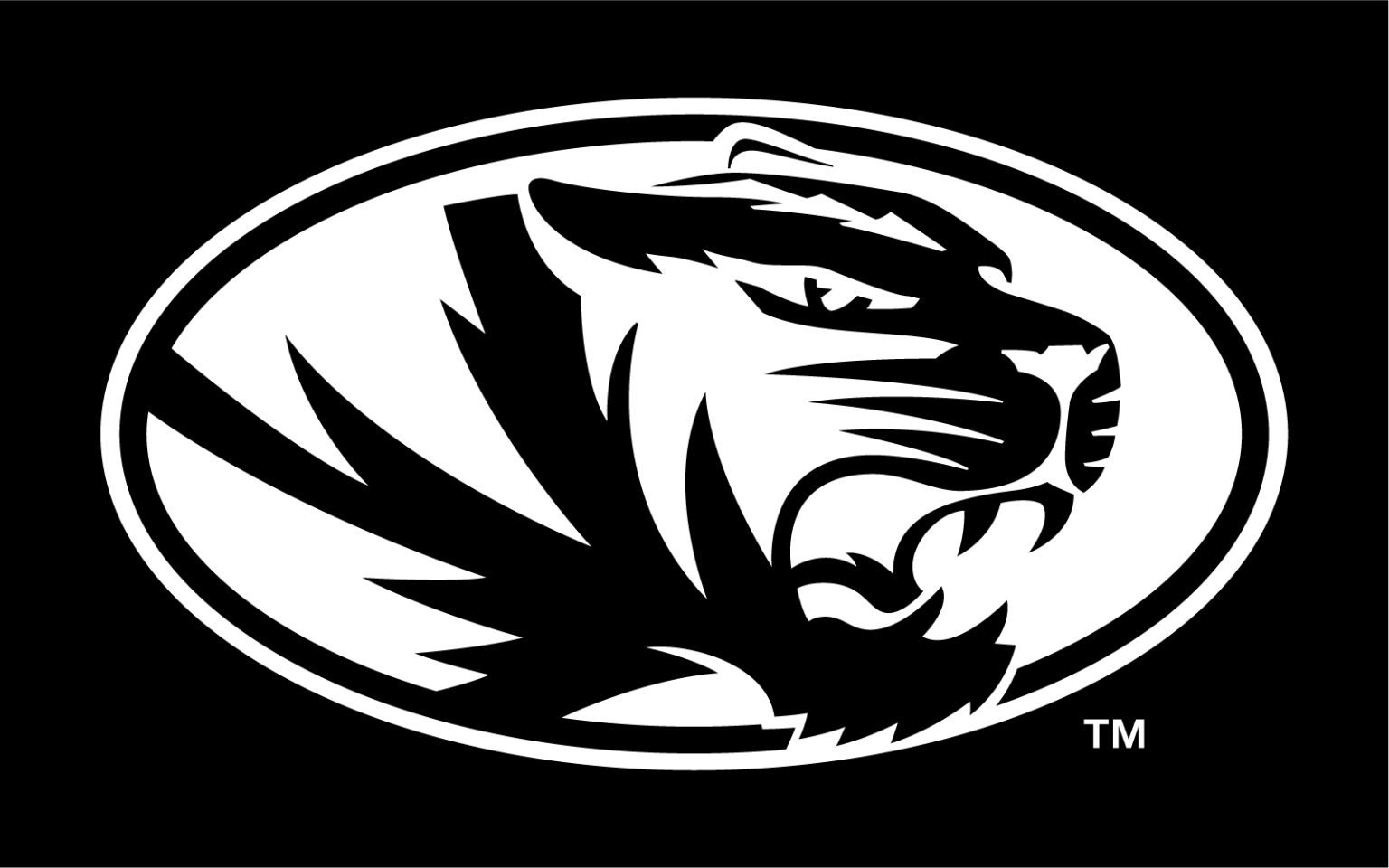 Athletics Brand Guidelines and Toolkit - Brand Guidelines